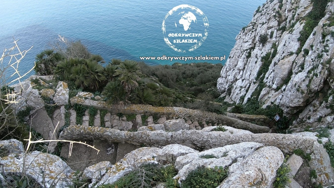 Gibraltar: Rezerwat Upper Rock, przewodnik, trasa zwiedzania ...